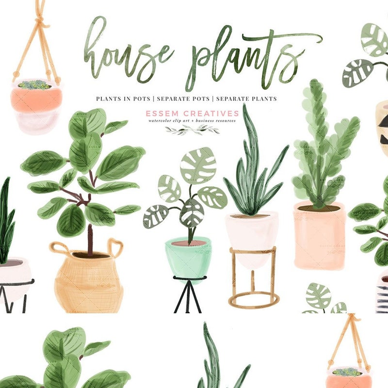Plant Clip Art - Etsy
