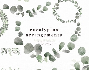 Watercolor Eucalyptus Leaf Clipart Green Leaves Branch Border | Etsy