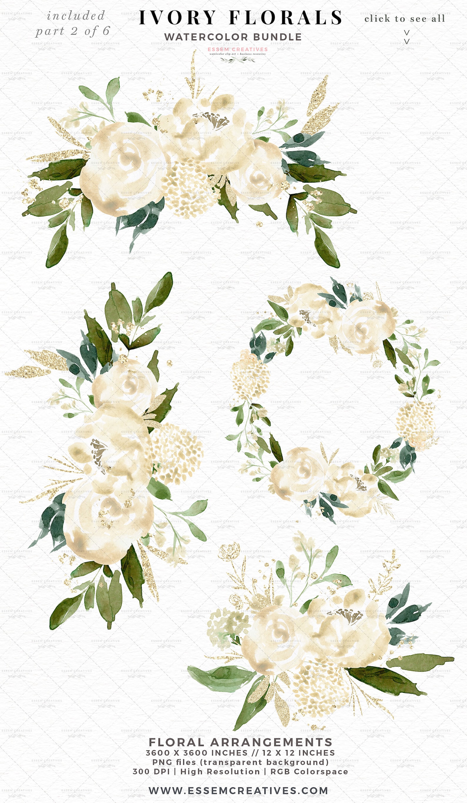 Ivory Watercolor Flowers Clipart, White Floral Watercolor Graphics ...