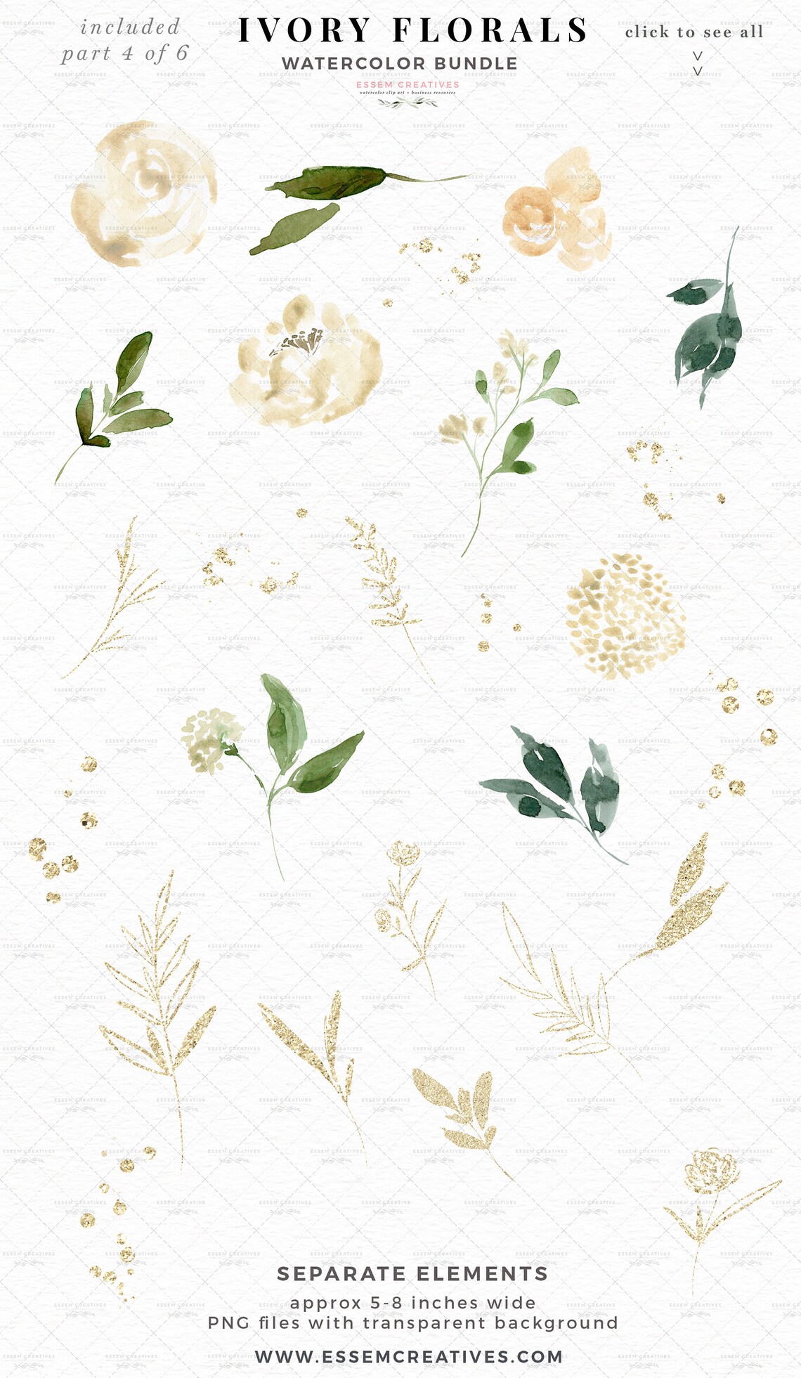 Ivory Watercolor Flowers Clipart White Floral Watercolor - Etsy