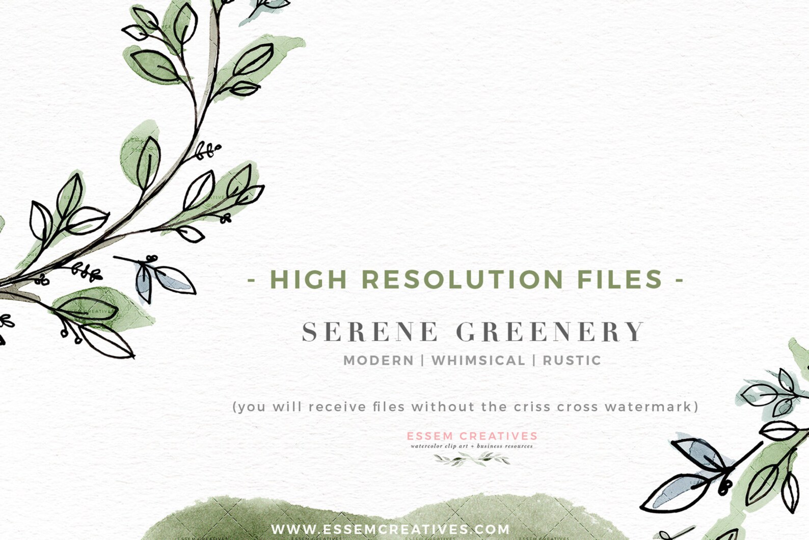 Watercolor Greenery Line Art Olive Branch Clip Art Leaf - Etsy