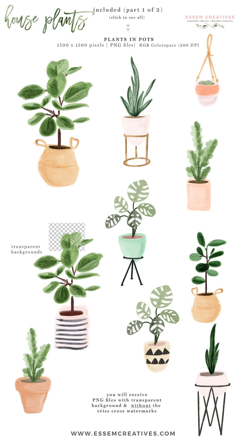 Watercolor House Plants Clip Art Indoor Plants Potted Plant - Etsy India