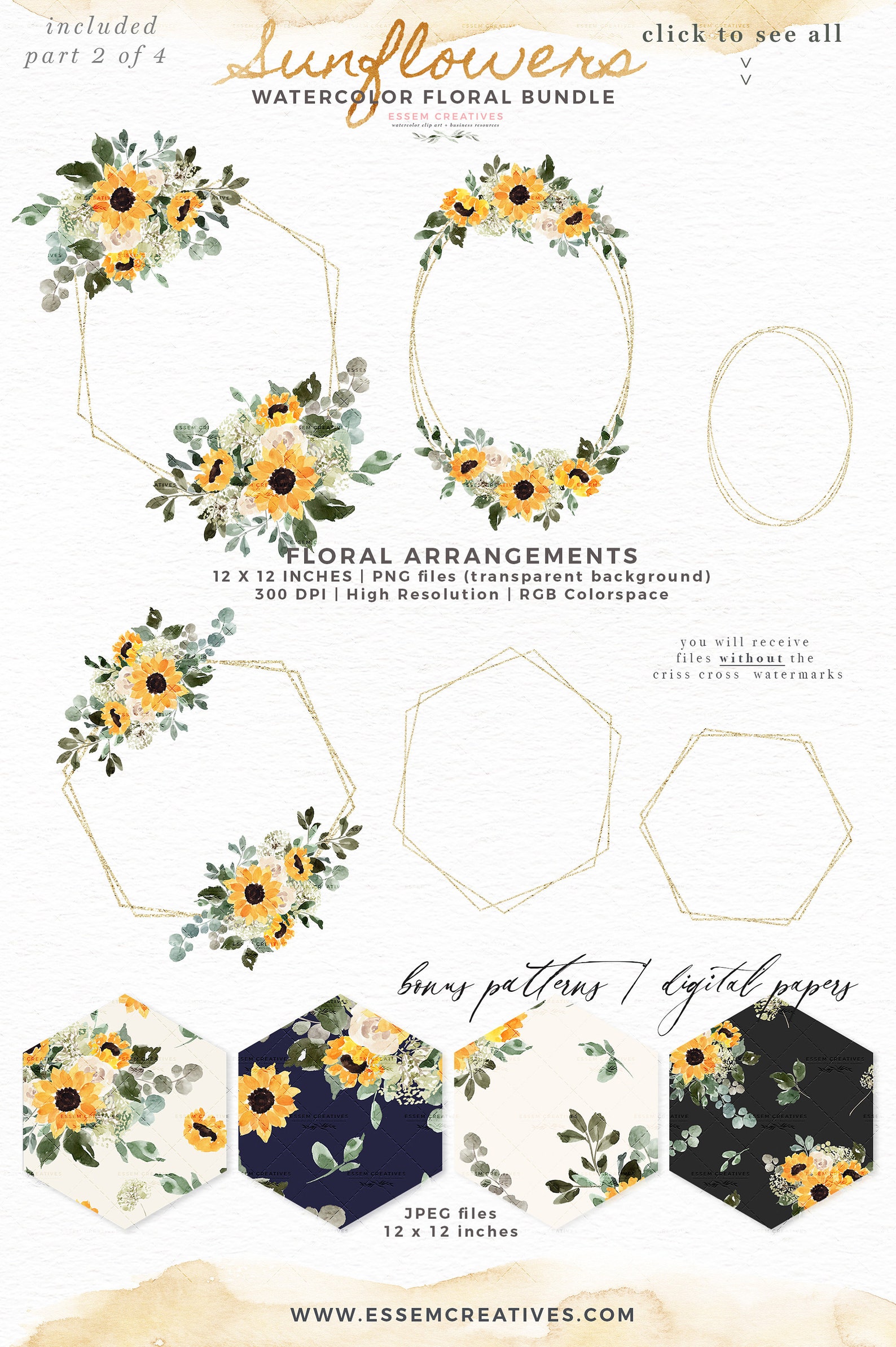 Watercolor Sunflowers Babys Breath Clipart Rustic Fall | Etsy