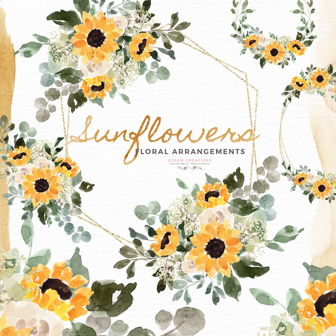 Watercolor Sunflowers Babys Breath Clipart, Rustic Fall Flowers Clip ...