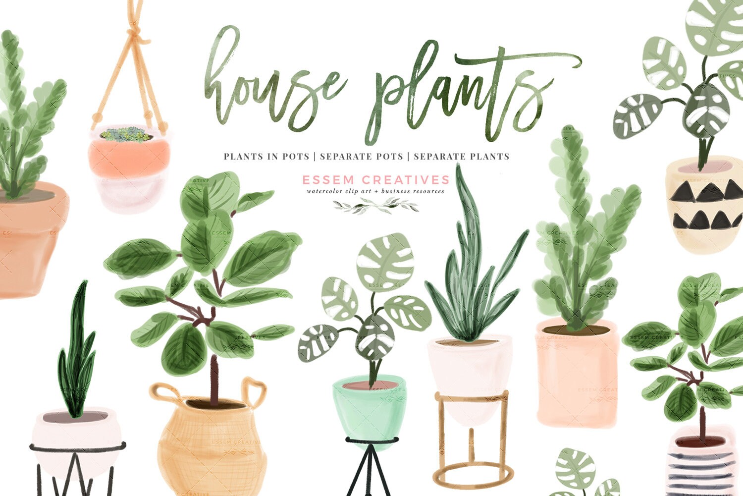 Watercolor House Plants Clip Art Indoor Plants Potted Plant | Etsy India