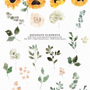 Watercolor Sunflowers Babys Breath Clipart, Rustic Fall Flowers Clip ...
