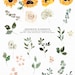 Buy Watercolor Sunflowers Babys Breath Clipart, Rustic Fall Flowers ...