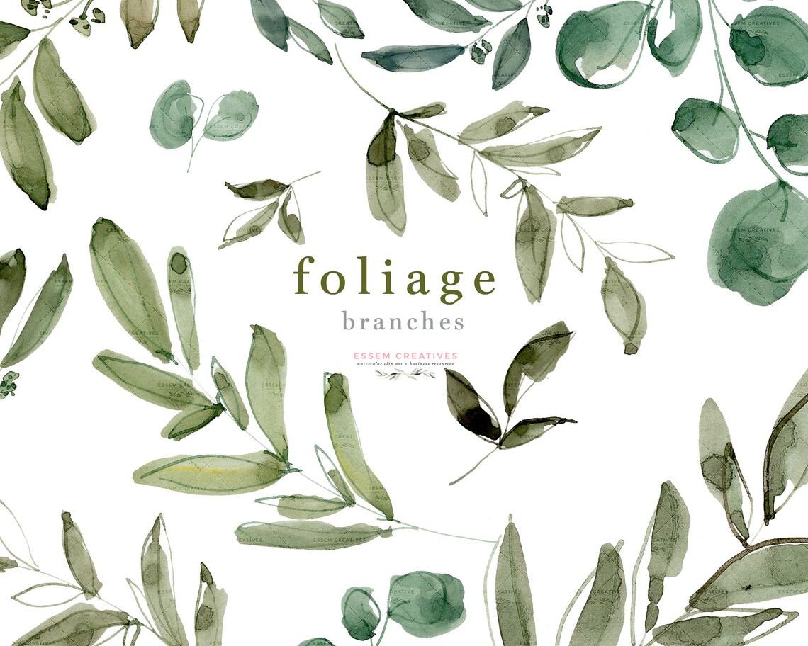 Watercolor Eucalyptus Clipart Foliage Greenery Clipart - Etsy