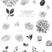 Black and White Floral Watercolor Clipart, Floral Border Clipart, Gray ...