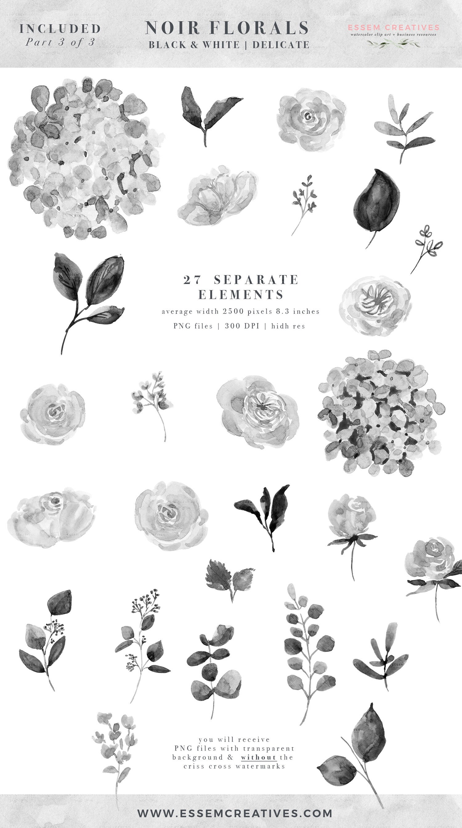 Black and White Floral Watercolor Clipart Floral Border | Etsy