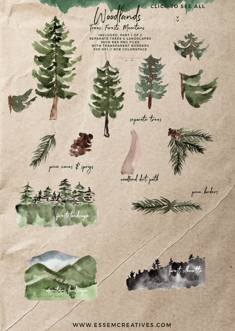 Rustic Forest Trees Clipart Watercolor Conifer Woodland | Etsy