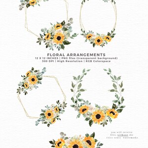 Watercolor Sunflowers Babys Breath Clipart, Rustic Fall Flowers Clip ...