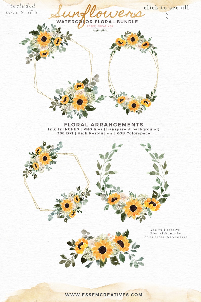 Watercolor Sunflowers Babys Breath Clipart Rustic Fall | Etsy
