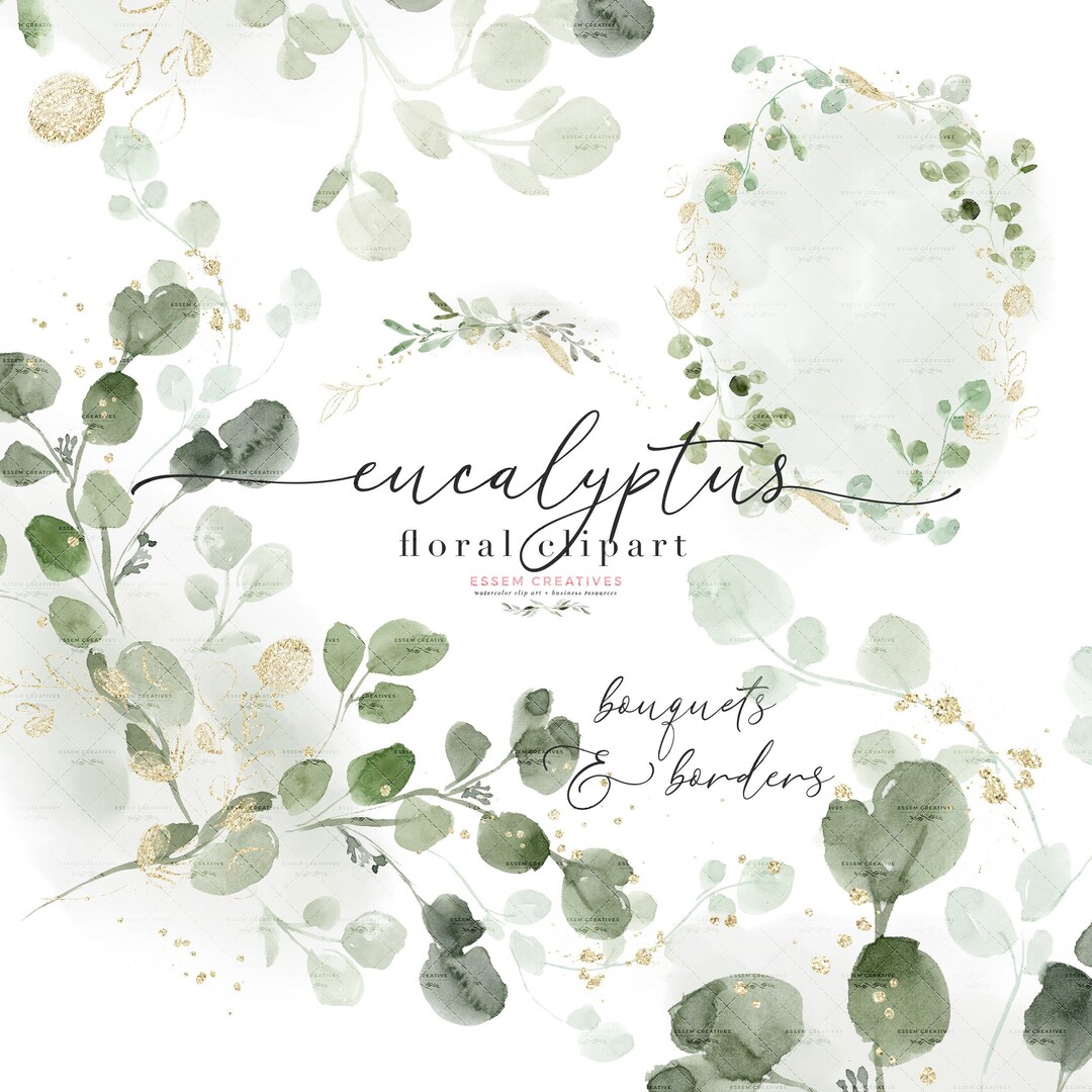 Watercolor Eucalyptus Clipart, Greenery Wreath Clipart, Eucalyptus ...