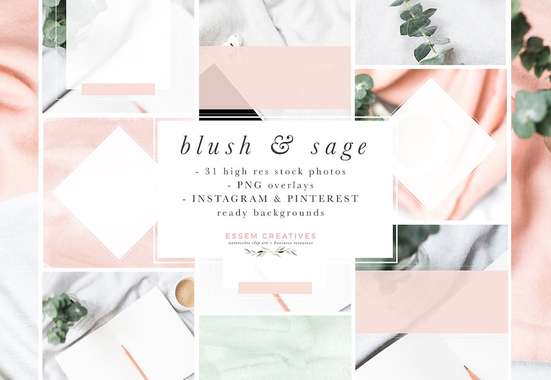 Feminine Blush and Sage Stock Photos, Social Media Templates, Modern ...