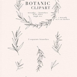 Botanical Clipart Illustration, Greenery Leaves Foliage, Dainty Fine ...