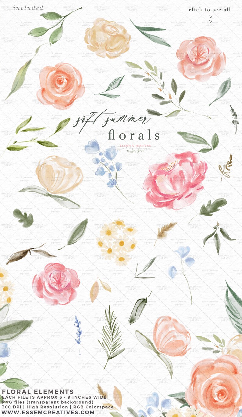 Summer Floral Clipart Boho Watercolor Flower Clip Art Peach | Etsy
