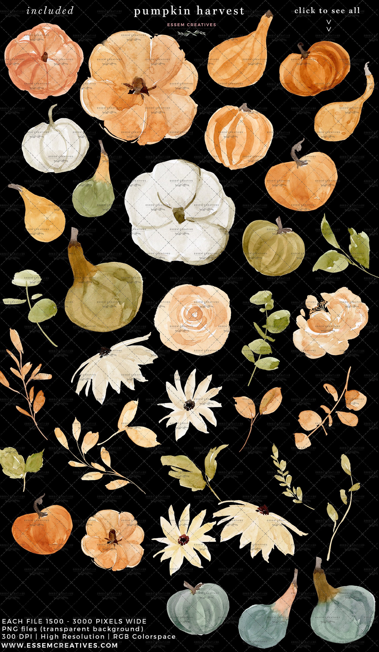 Watercolor Fall Pumpkins Clipart Boho Autumn Harvest Clipart - Etsy