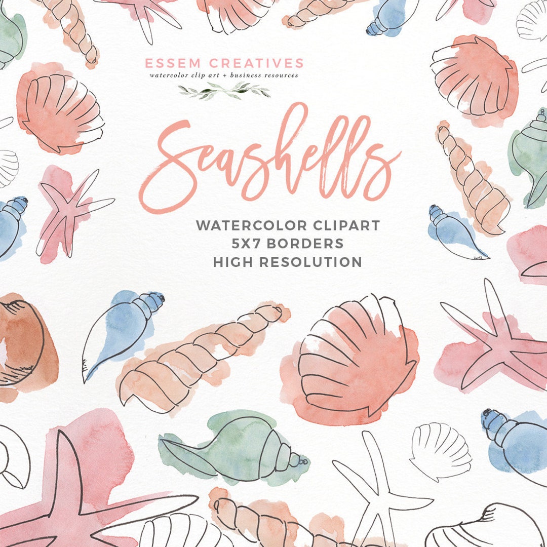 Watercolor Seashell Under the Sea Clipart Illustrations, Tropical Beach ...