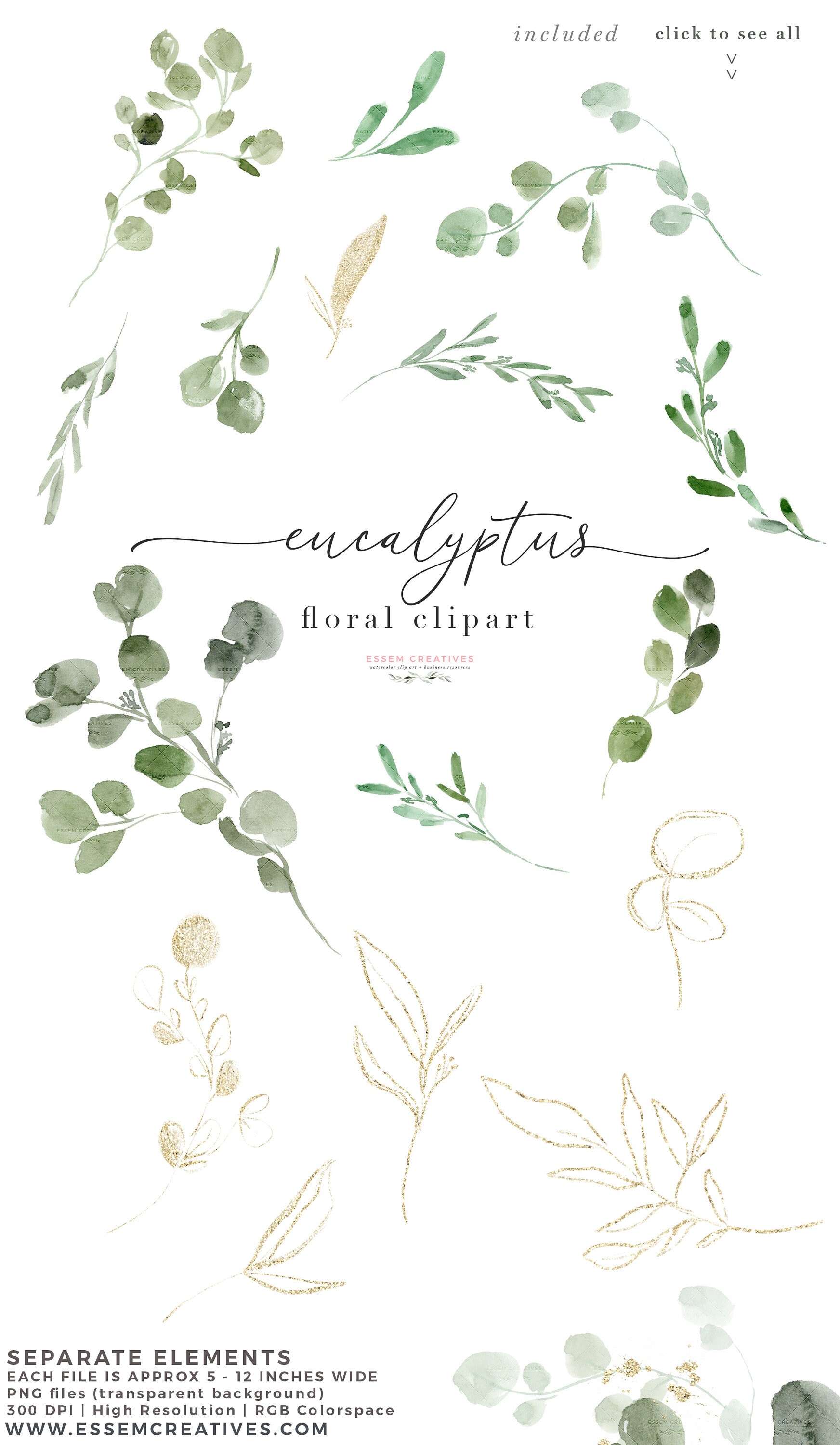Watercolor Eucalyptus Clipart Greenery Foliage Separate | Etsy