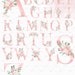 Buy Blush Watercolor Floral Alphabet Clipart, Pink White Watercolor ...