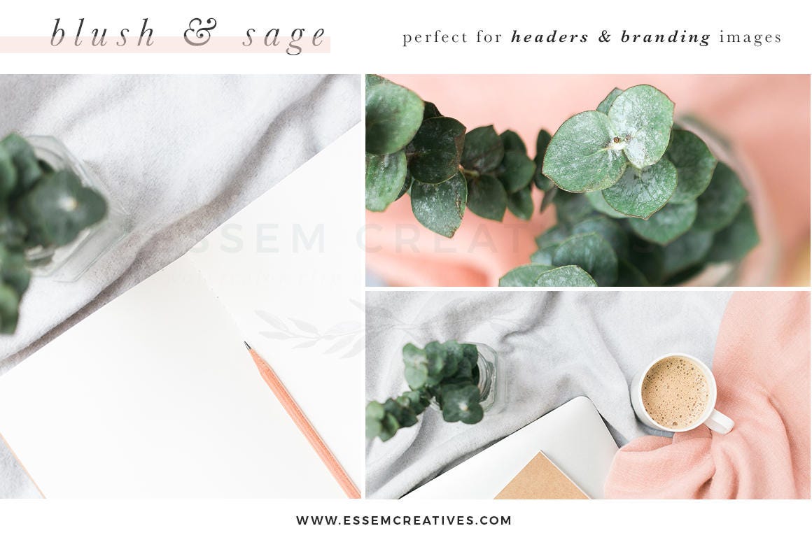Feminine Blush and Sage Stock Photos Social Media Templates - Etsy