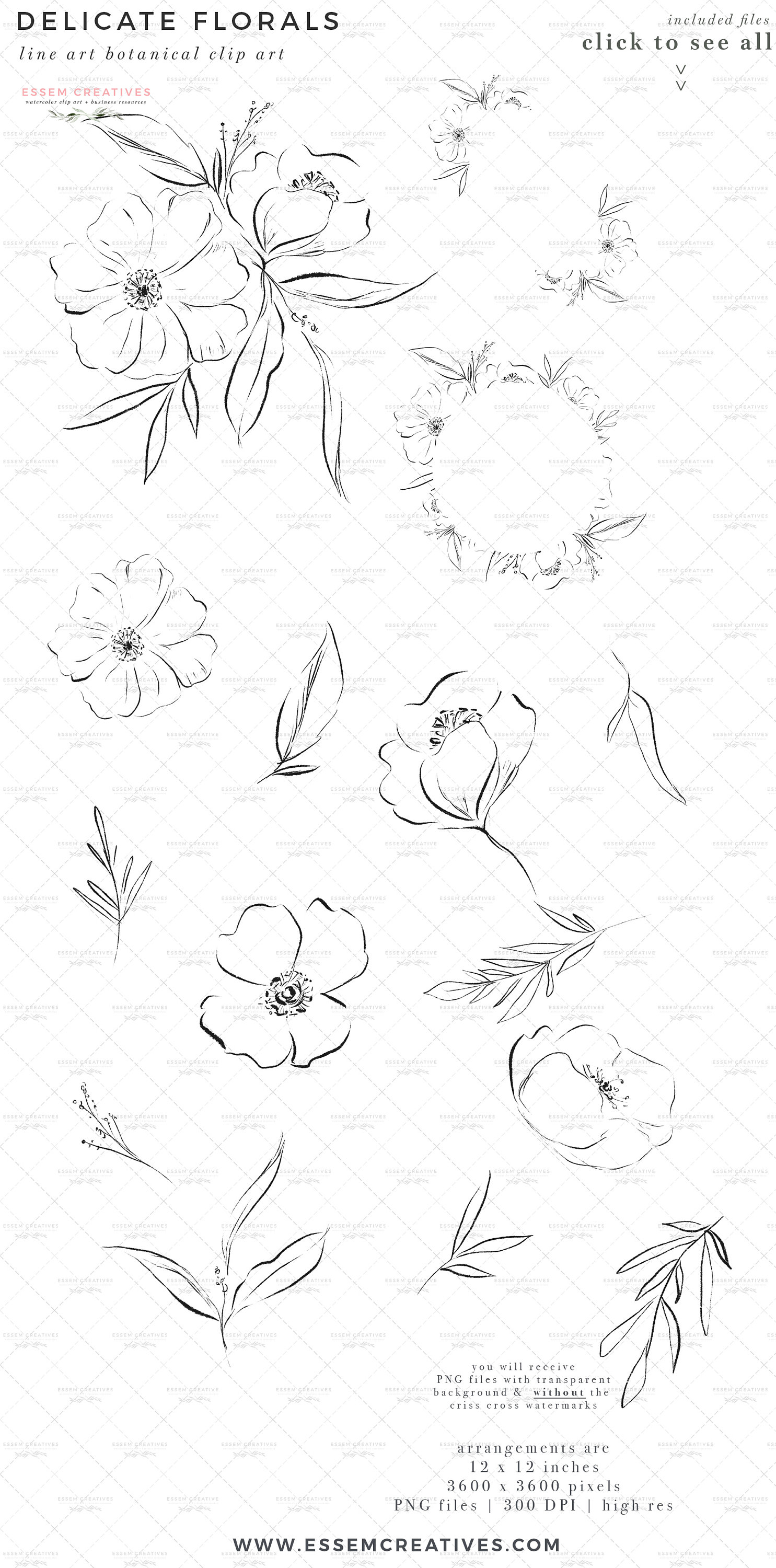 Delicate Line Art Floral Clipart Illustration Botanical - Etsy