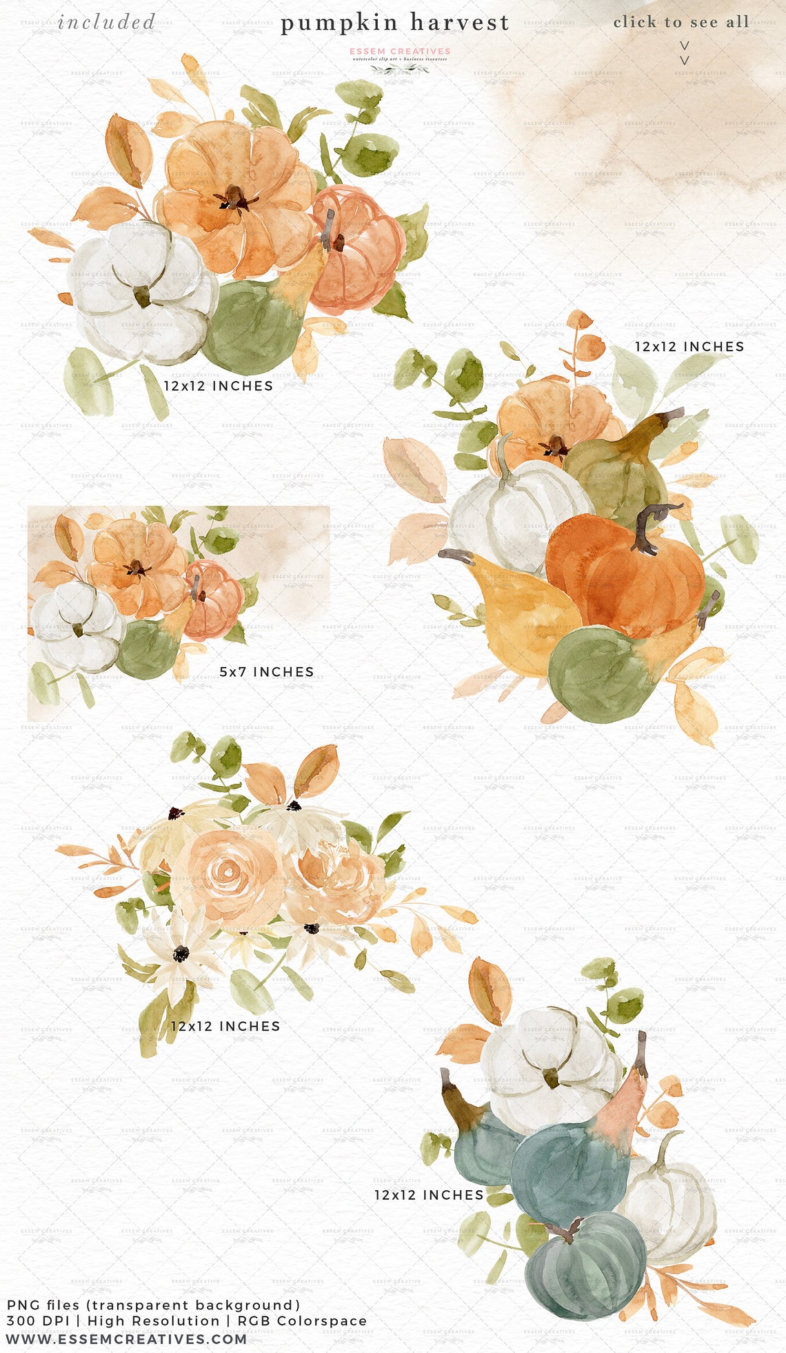 Watercolor Fall Pumpkins Clipart, Boho Autumn Harvest Clipart ...