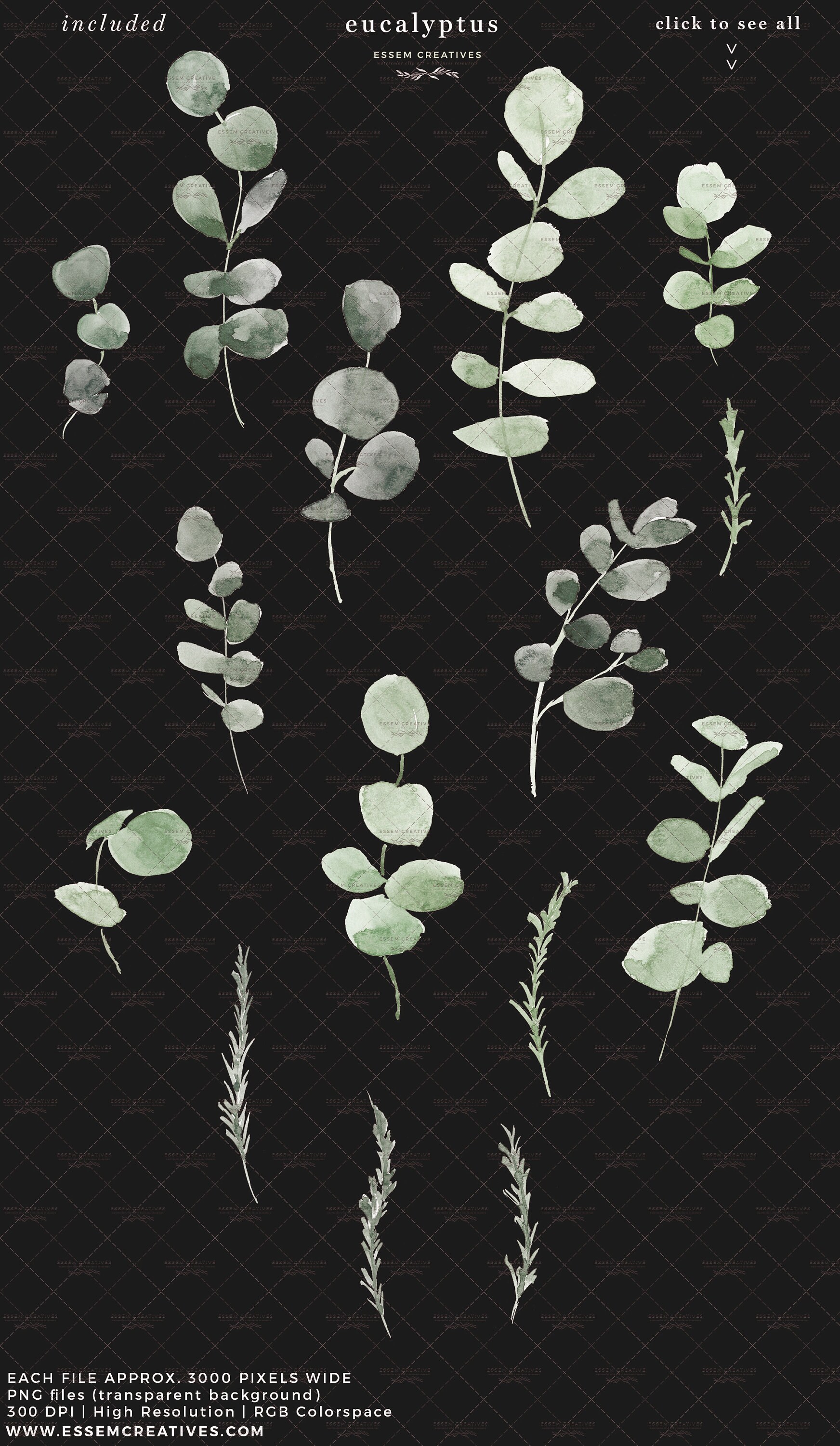 Watercolor Eucalyptus Leaf Clipart Green Leaves Branch Border | Etsy