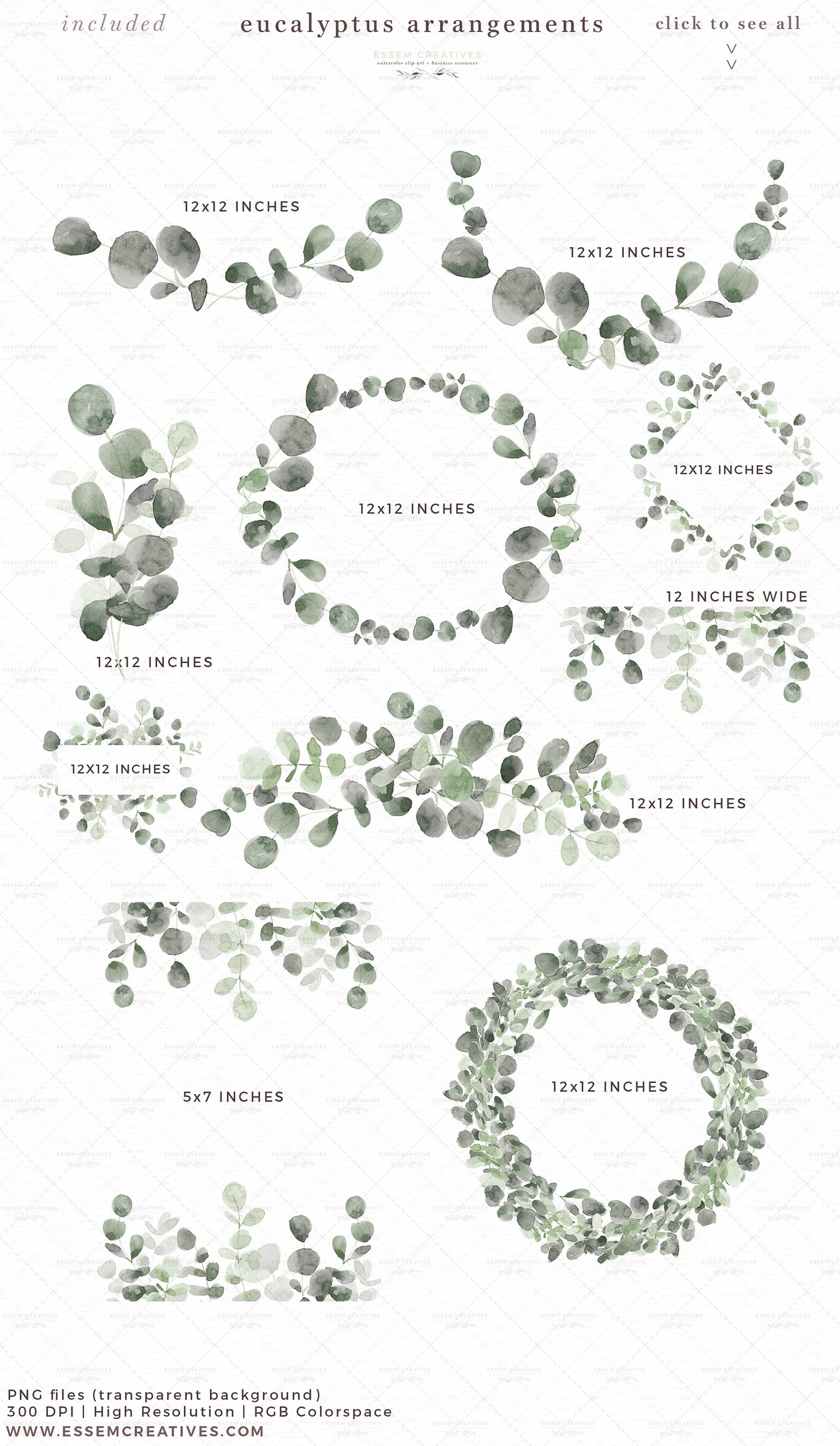Watercolor Eucalyptus Wreath Clipart, Floral Border Greenery Leaf ...