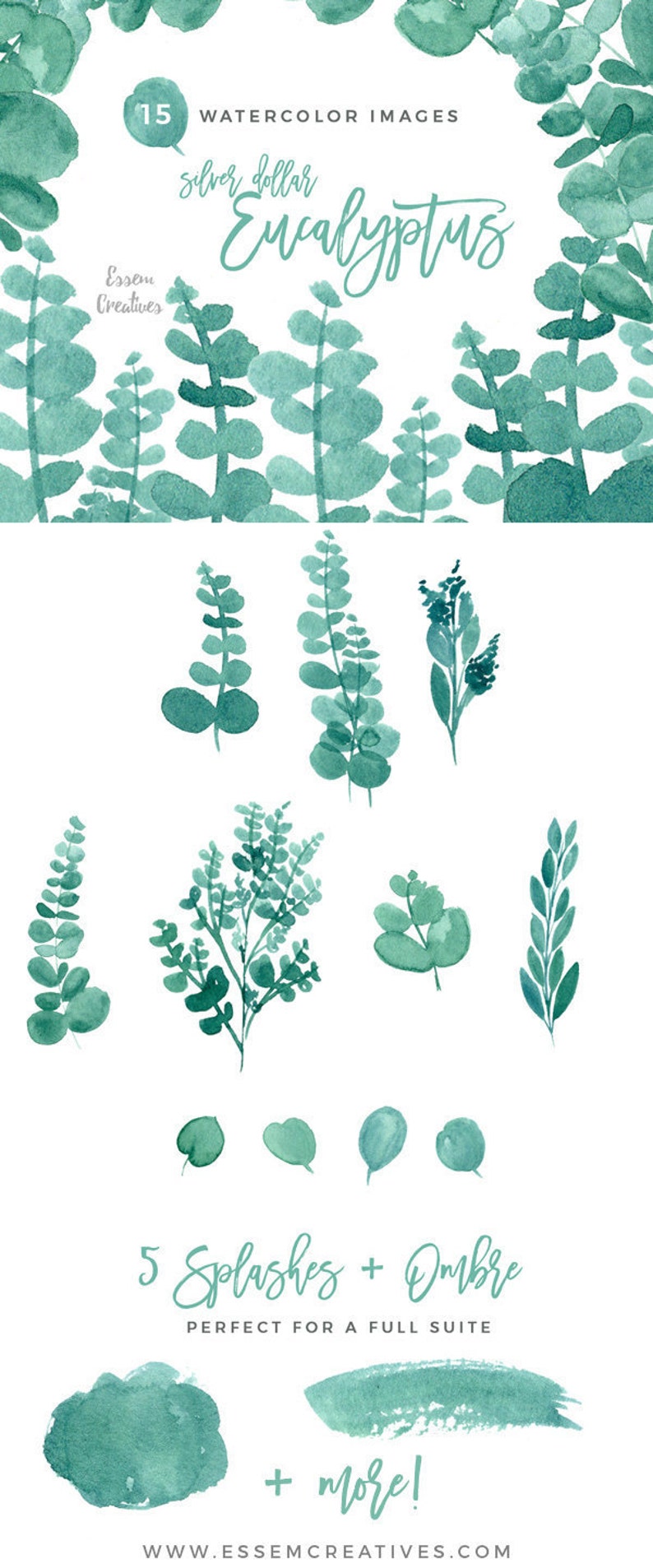 Eucalyptus Clipart Watercolor Leaves Clip Art Greenery - Etsy