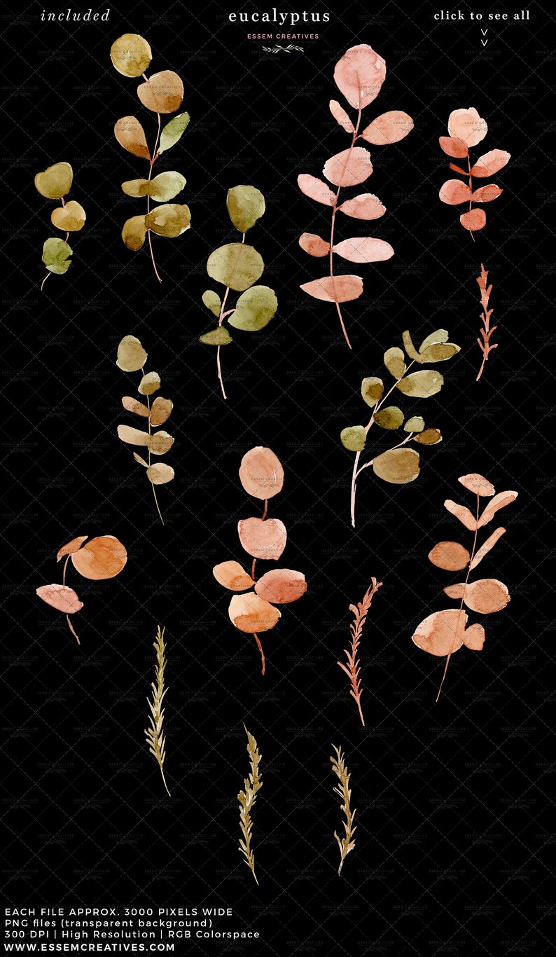 Fall Eucalyptus Leaves Clipart Foliage Greenery Clipart Leaf | Etsy