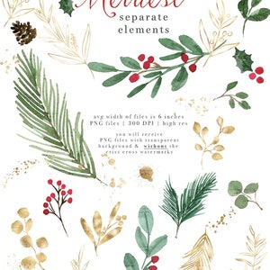 Watercolor Christmas Clipart, Christmas Leaves Foliage, Holiday Clip ...