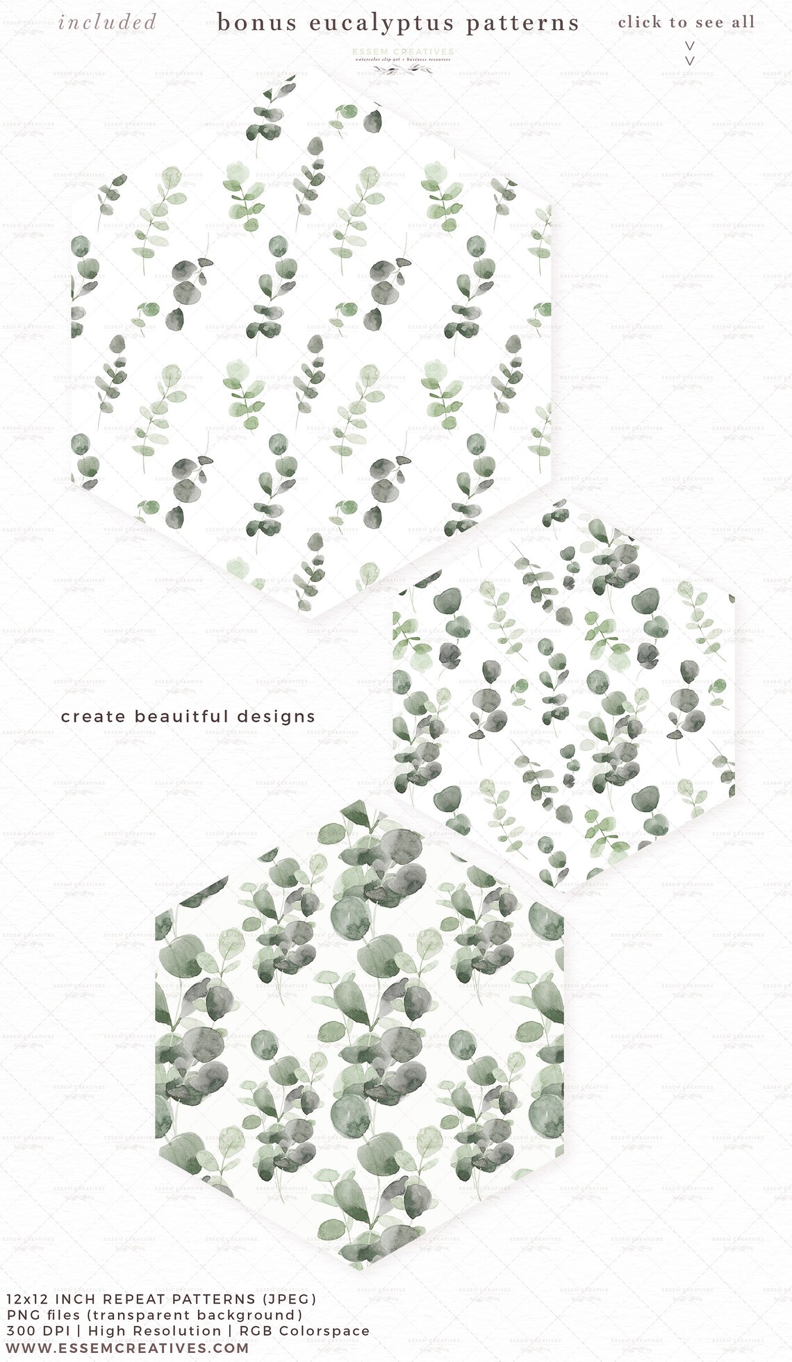Watercolor Eucalyptus Wreath Clipart Floral Border Greenery - Etsy
