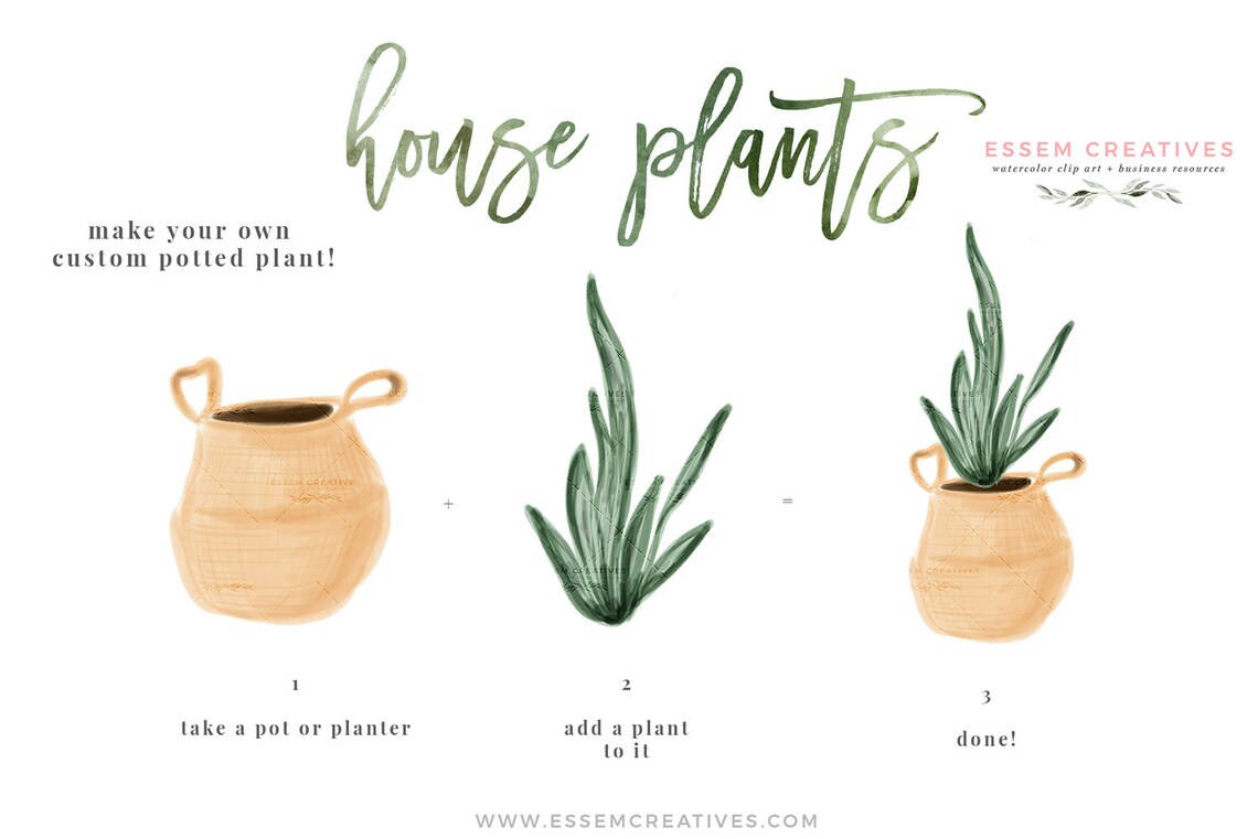 Watercolor House Plants Clip Art Indoor Plants Potted Plant - Etsy ...
