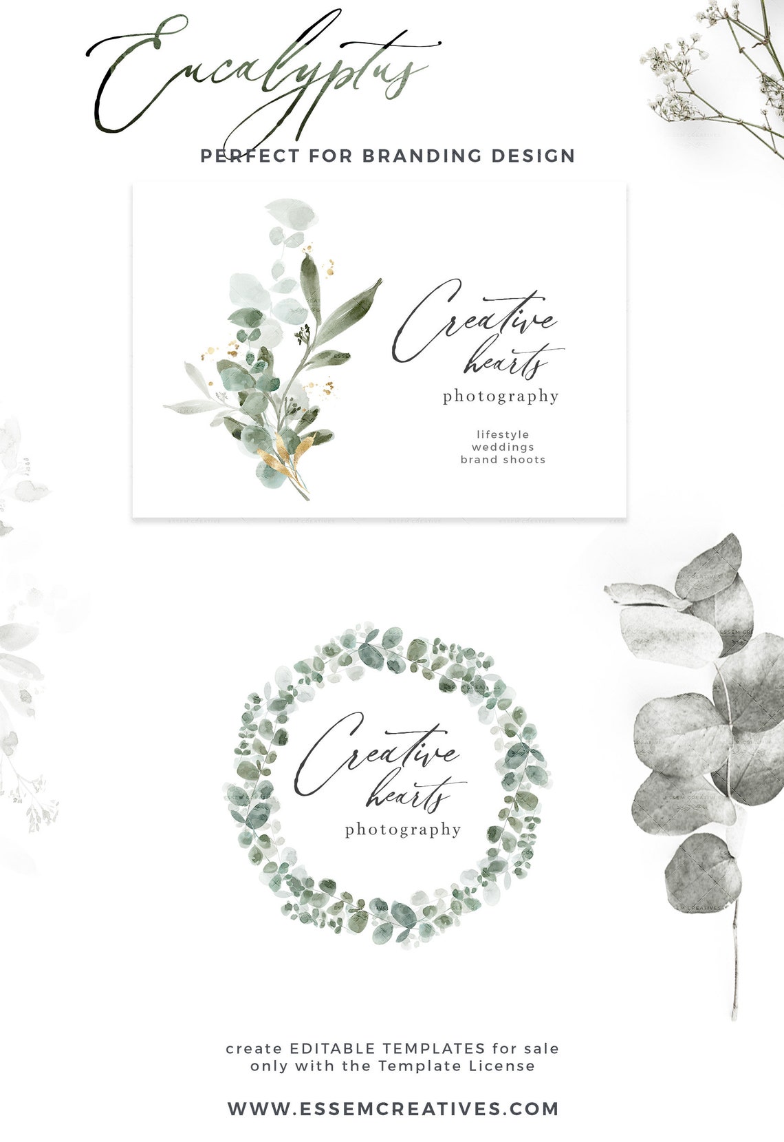 Watercolor Eucalyptus Wreath Clipart Eucalyptus Frame Clip | Etsy