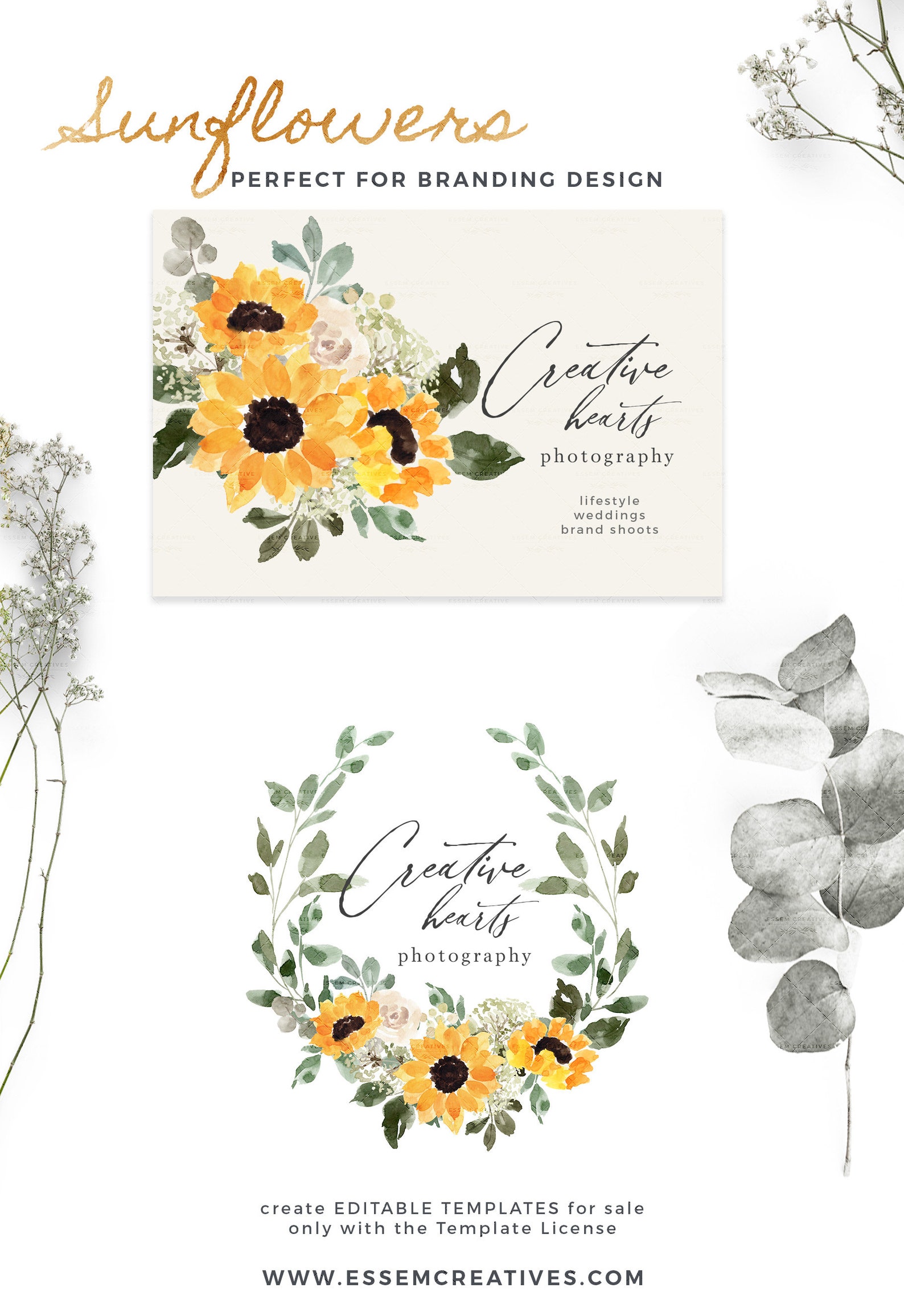 Watercolor Sunflowers Babys Breath Clipart, Rustic Fall Flowers Clip ...