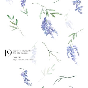Regency Wisteria Floral Clipart, Watercolor Wreath Clipart, Flower ...