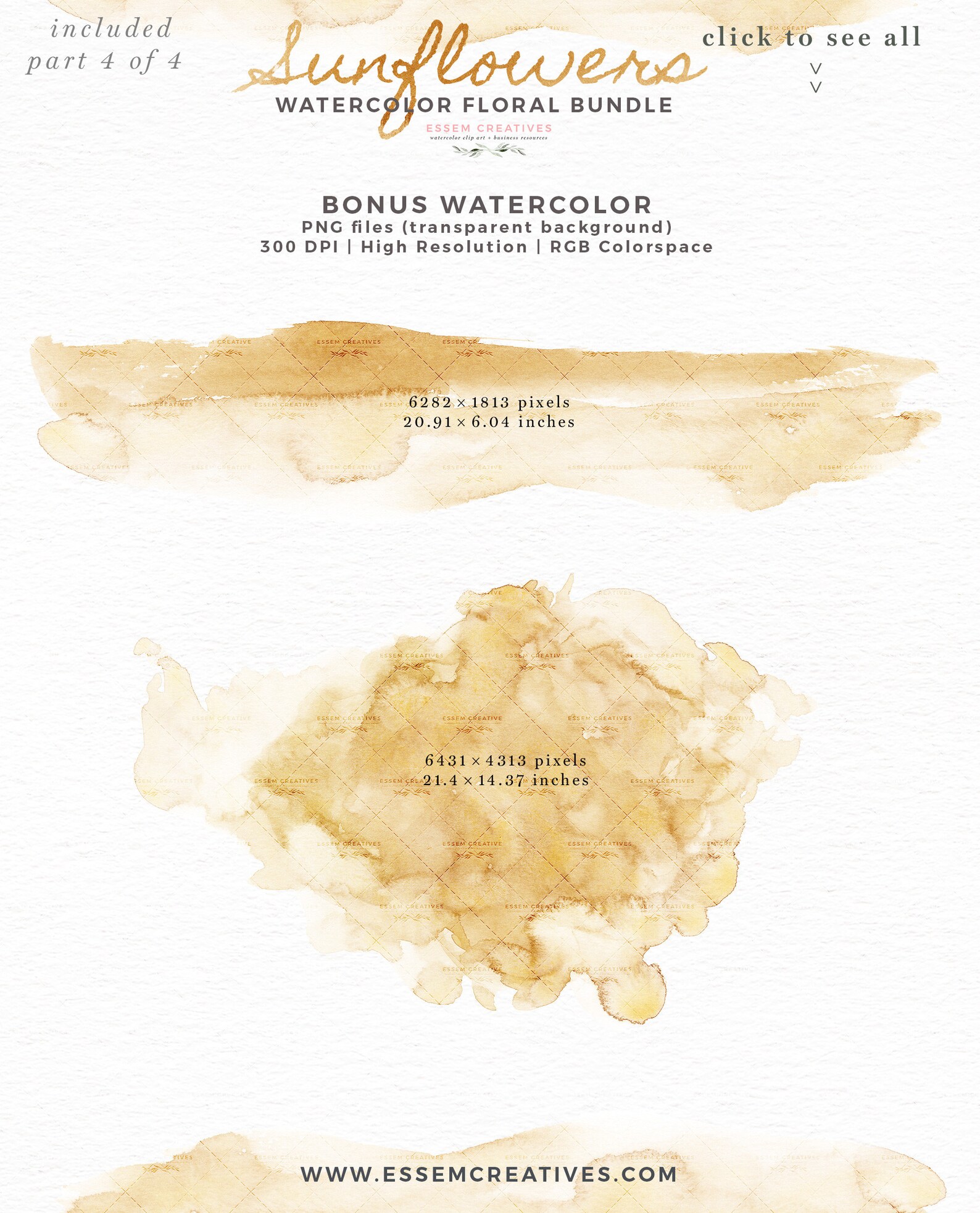 Watercolor Sunflowers Babys Breath Clipart Rustic Fall - Etsy