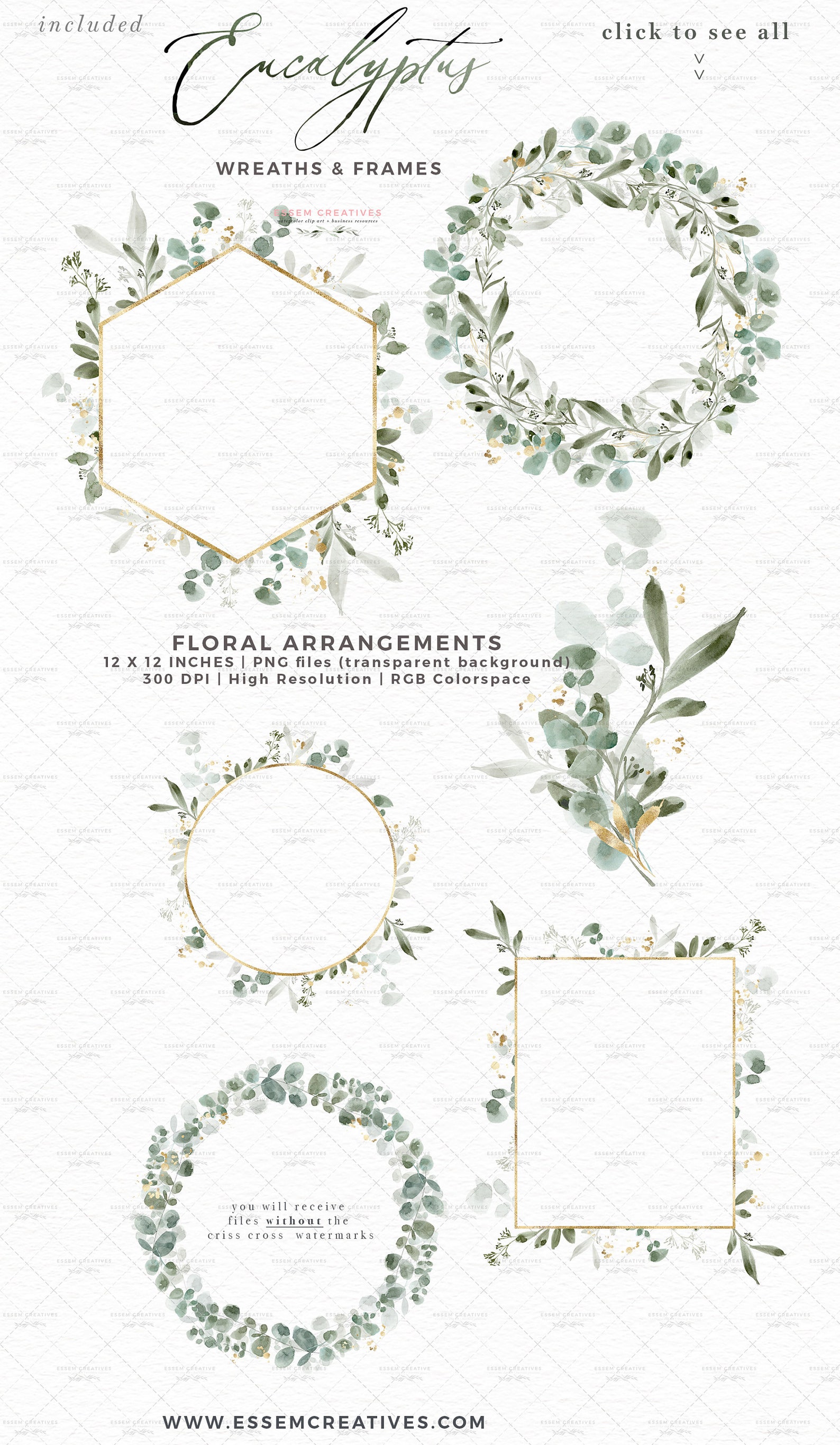 Watercolor Eucalyptus Wreath Clipart Eucalyptus Frame Clip | Etsy