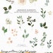 Buy Watercolor Sunflowers Babys Breath Clipart, Rustic Fall Flowers ...