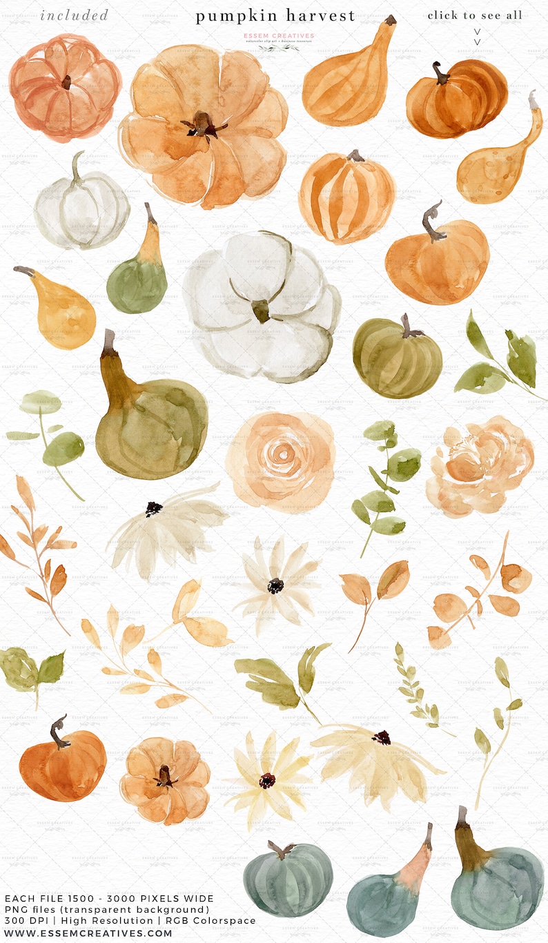 Watercolor Fall Pumpkins Clipart Boho Autumn Harvest Clipart | Etsy