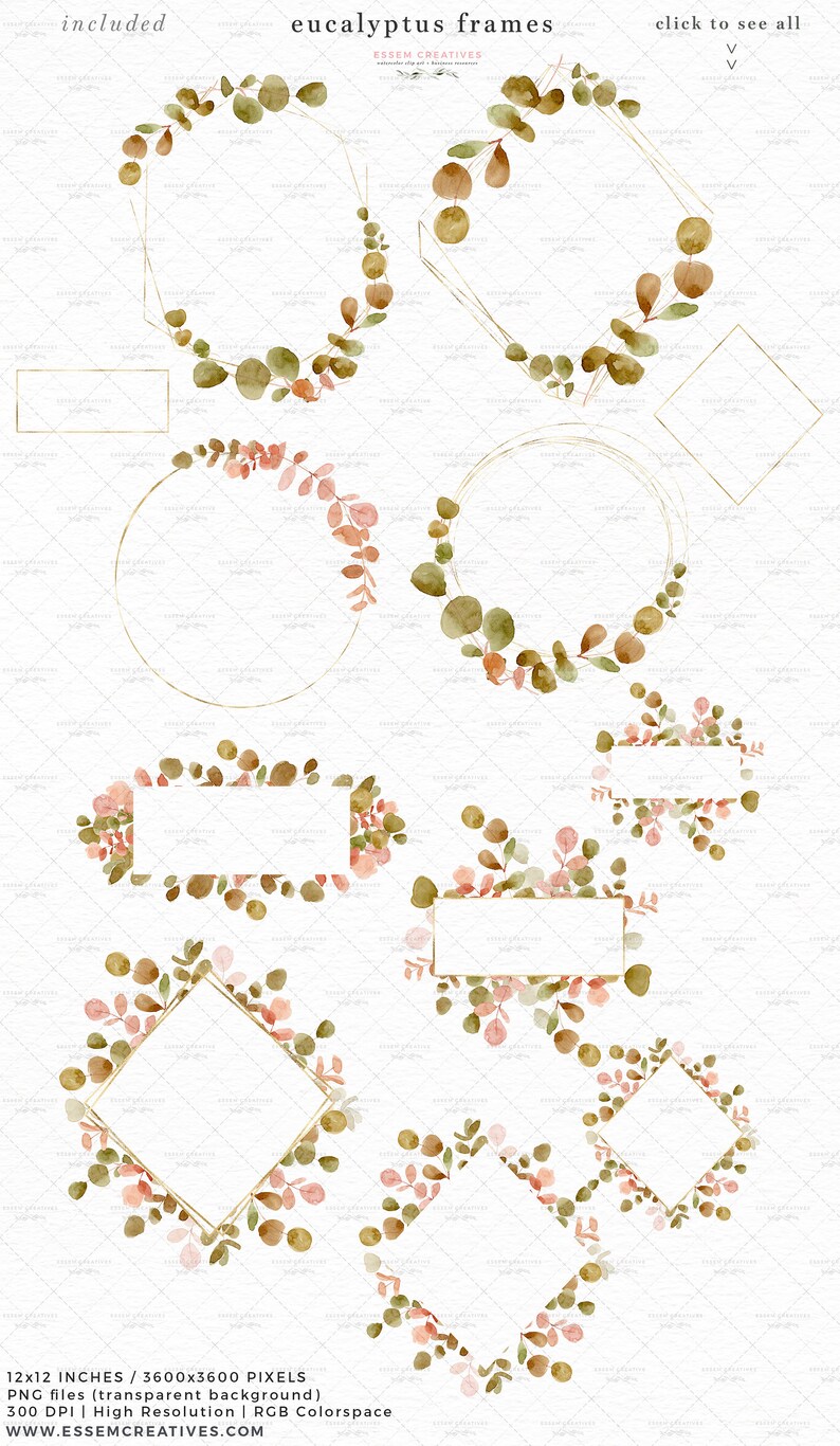 Fall Eucalyptus Leaves Clipart Foliage Greenery Clipart Leaf - Etsy
