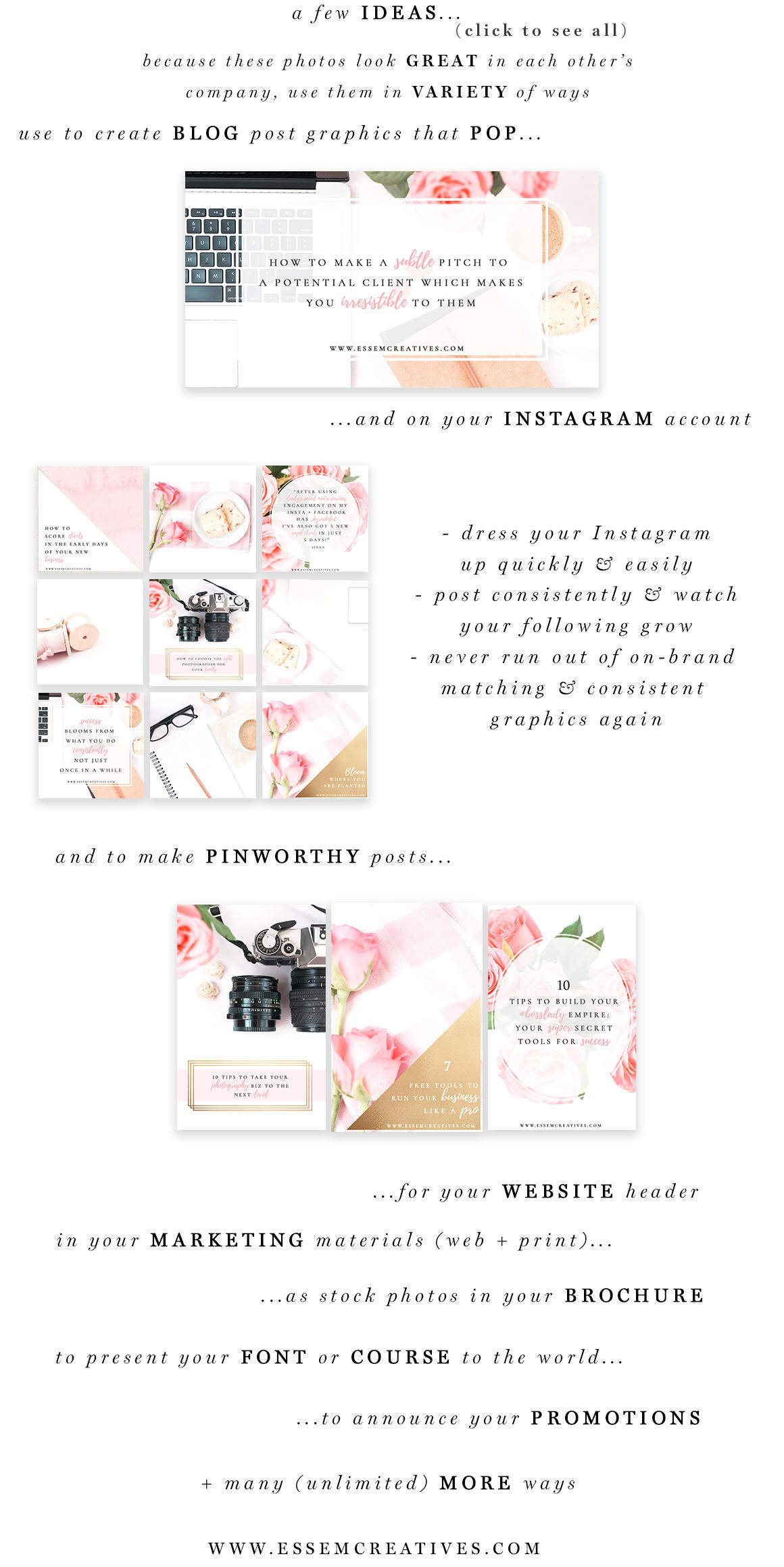 Pink Gold Black Stock Photos, Feminine Blog Header, Styled Stock ...