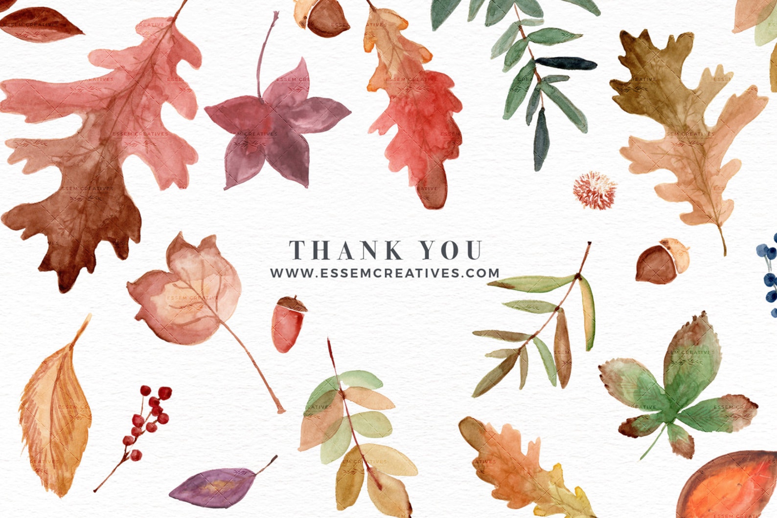 Watercolor Fall Leaves Clipart Autumn Leaves Clip Art - Etsy