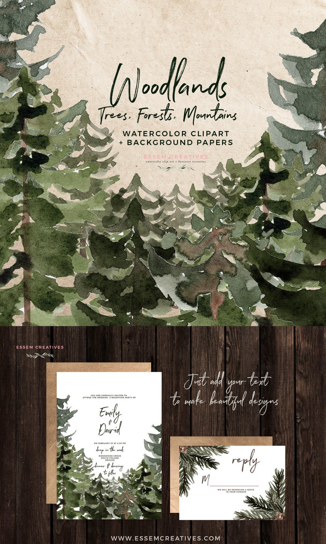 Rustic Forest Trees Clipart, Watercolor Conifer Woodland Graphics ...