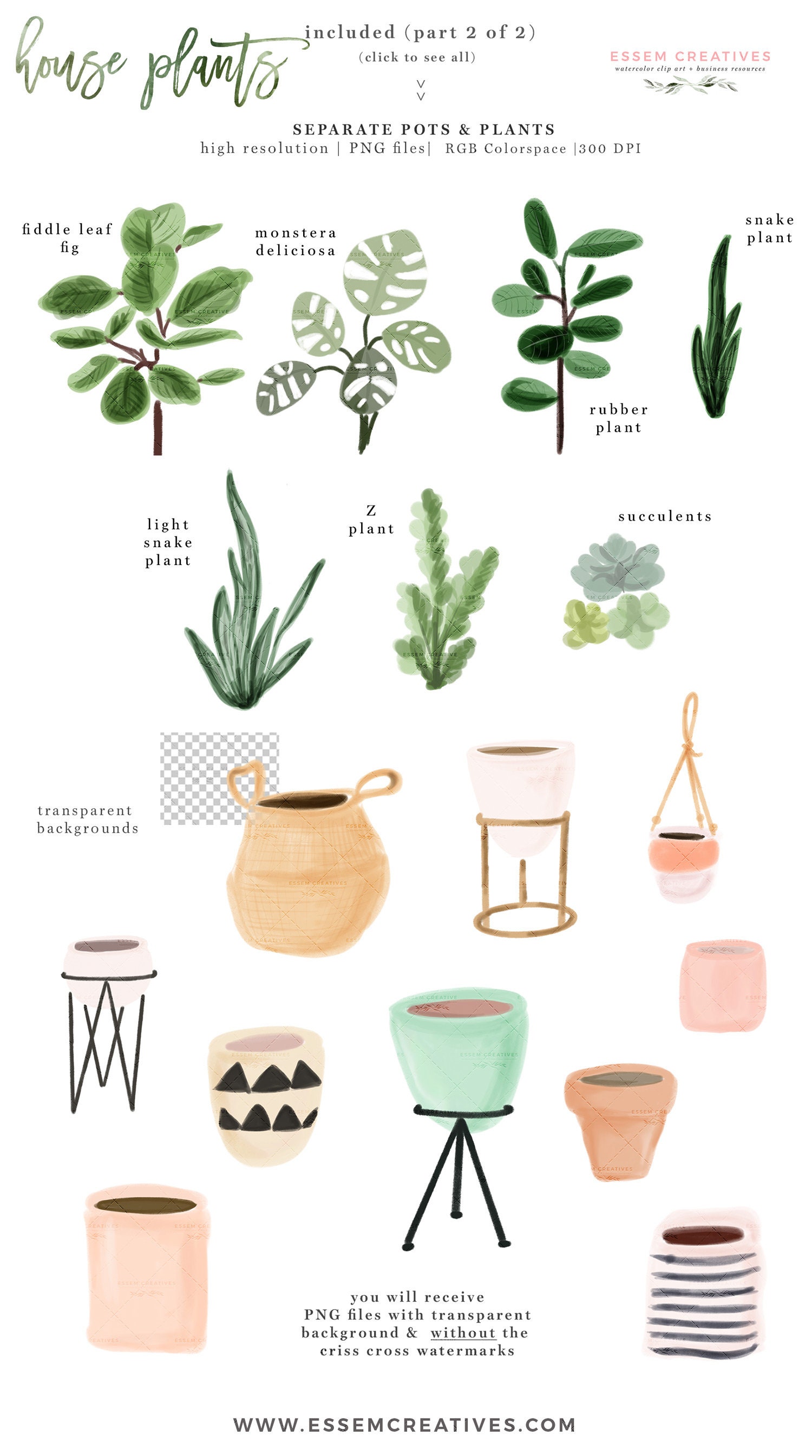 Watercolor House Plants Clip Art Indoor Plants Potted Plant | Etsy India