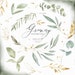 Eucalyptus Leaves Clipart, Watercolor Olive Laurel Leaf Branch Leaves ...