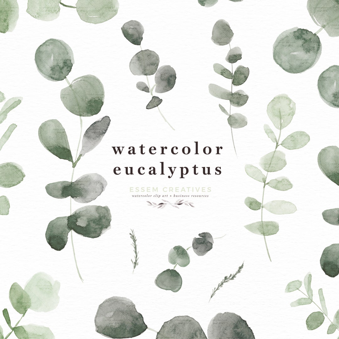 Watercolor Eucalyptus Leaf Clipart, Green Leaves Branch Border Greenery ...