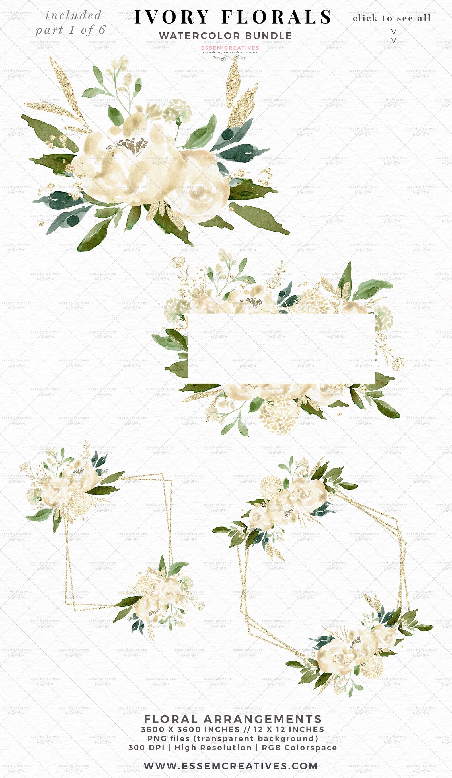 Ivory Watercolor Flowers Clipart, White Floral Watercolor Graphics ...